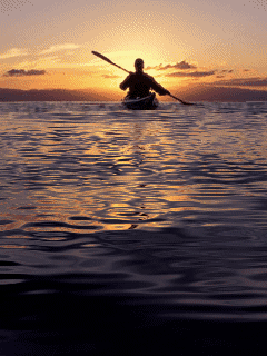 Kayaking and Paddle Boarding – Narrabeen Lakes – Seafarrwide