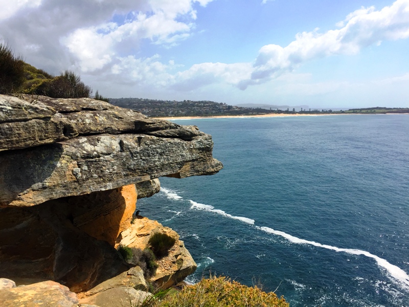 Dee Why Headland to Curl Curl Beach Coastal Walk – Sydney – Seafarrwide